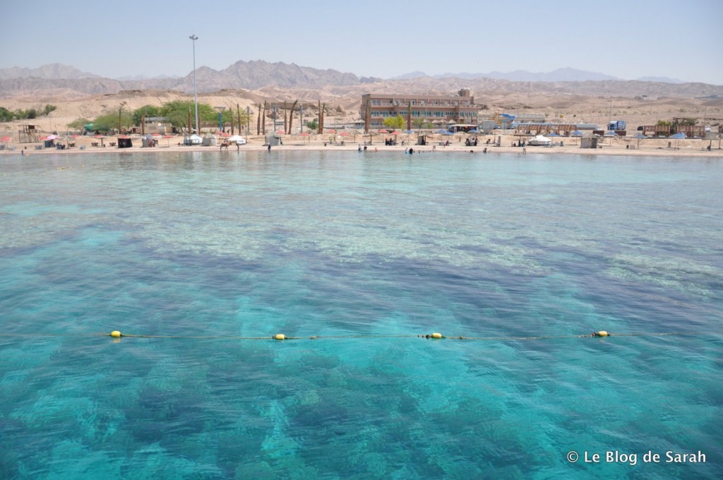 Top 5 à voir lors d'un voyage en Jordanie, de Petra à la mer Morte