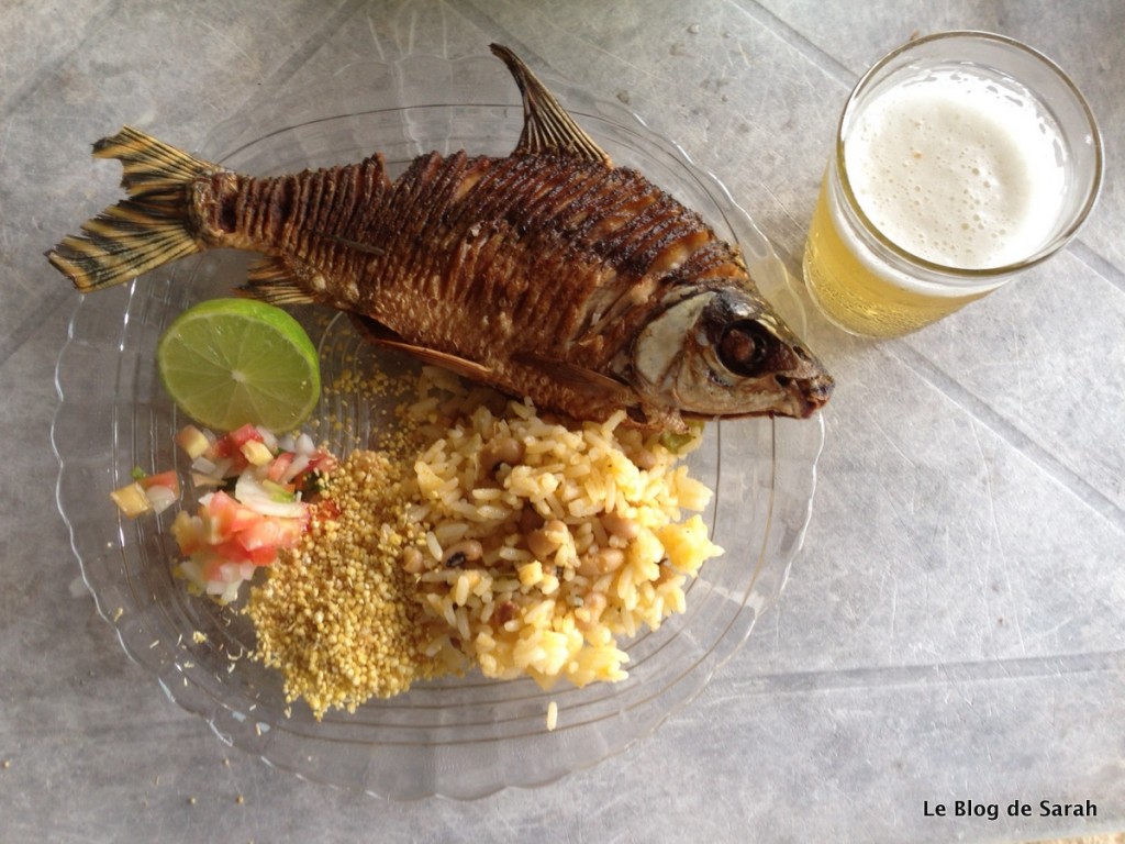 Top 10 à visiter à Manaus, de l'Opéra à la jungle d'Amazonie