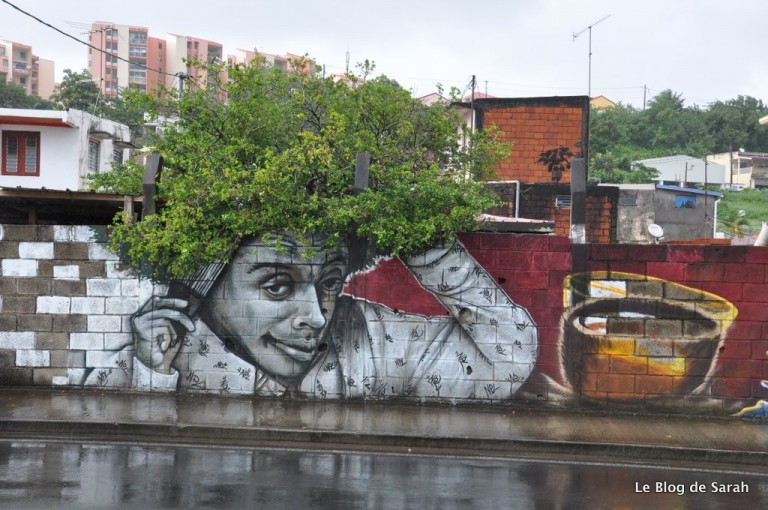 Visiter Fort-de-France, entre cocotiers et street-art