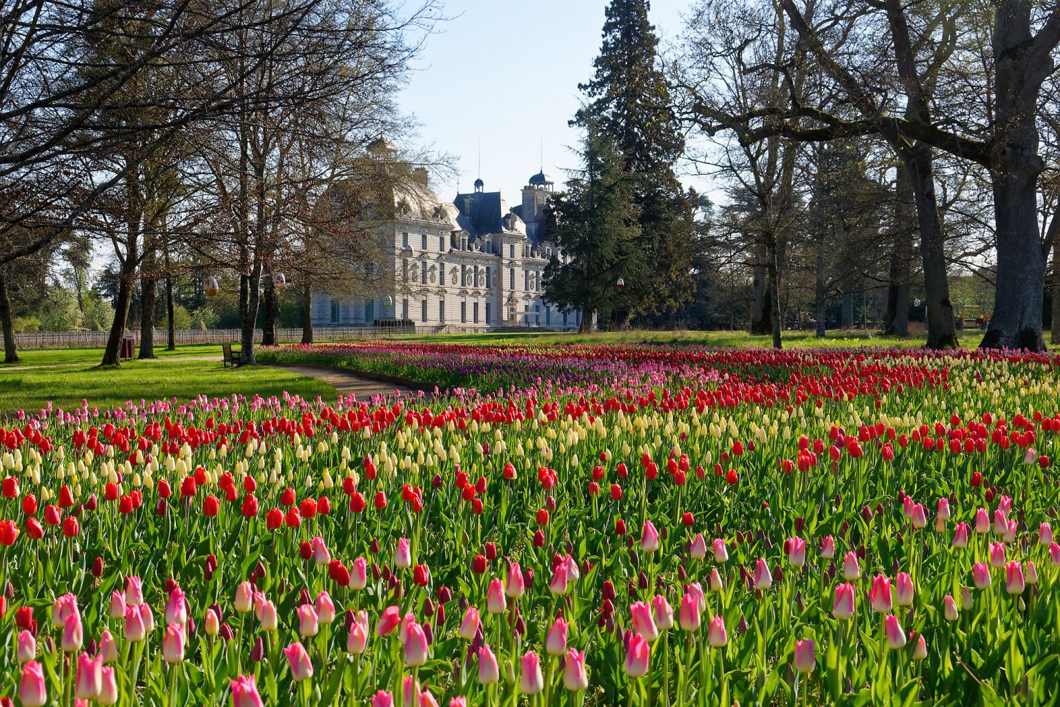 Le château de Cheverny, une pépite des châteaux de la Loire
