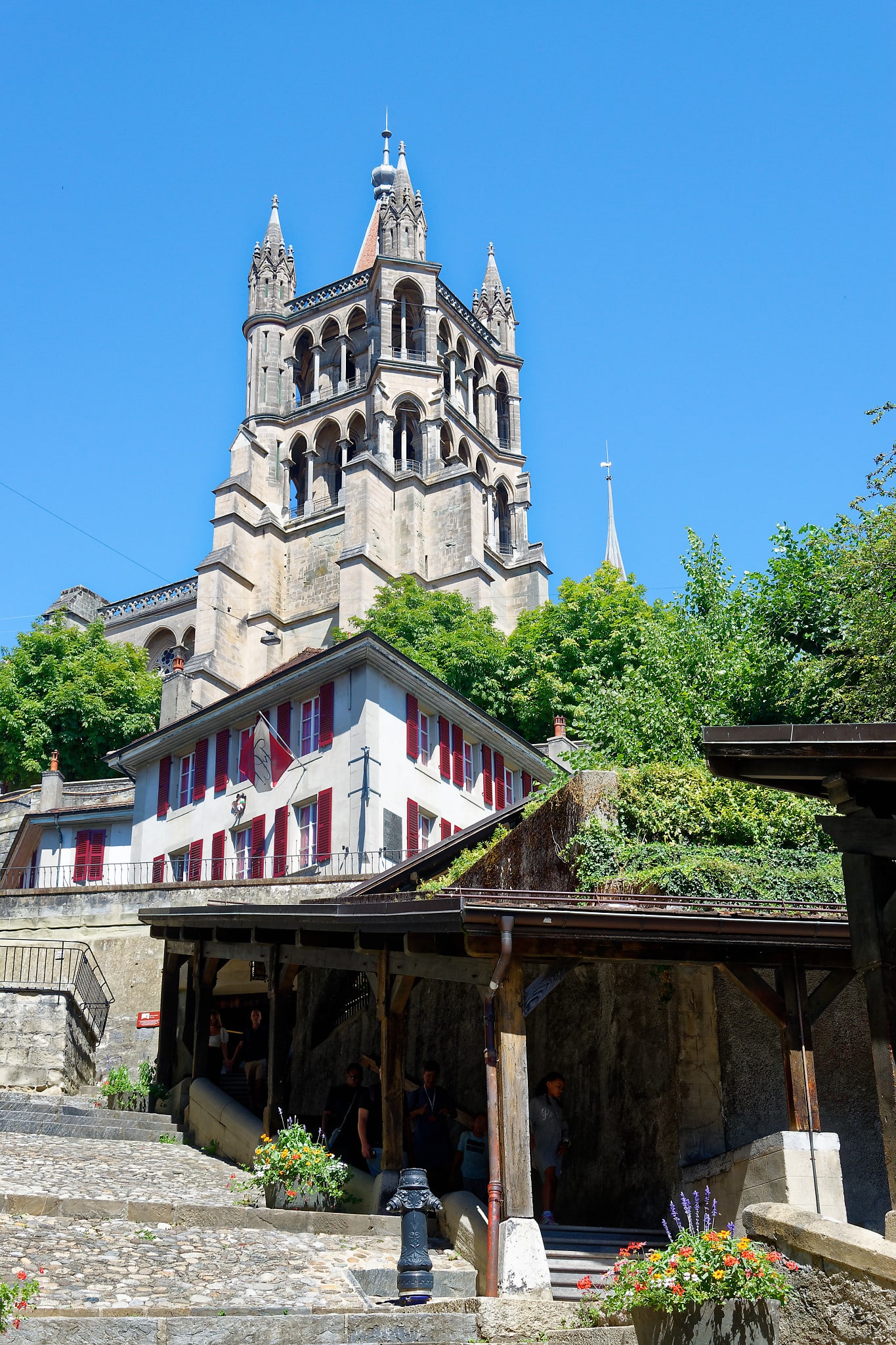 6 bonnes raisons de visiter Lausanne, du Musée Olympique aux vignes de ...