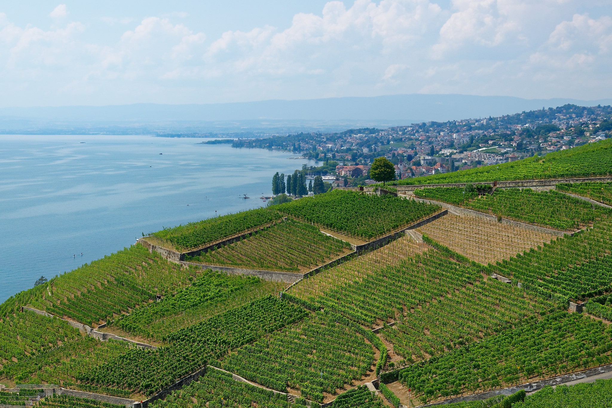 6 bonnes raisons de visiter Lausanne, du Musée Olympique aux vignes de ...