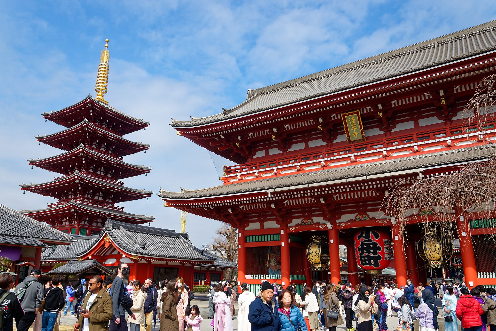 Visiter Tokyo en quatre à six jours : mon guide complet