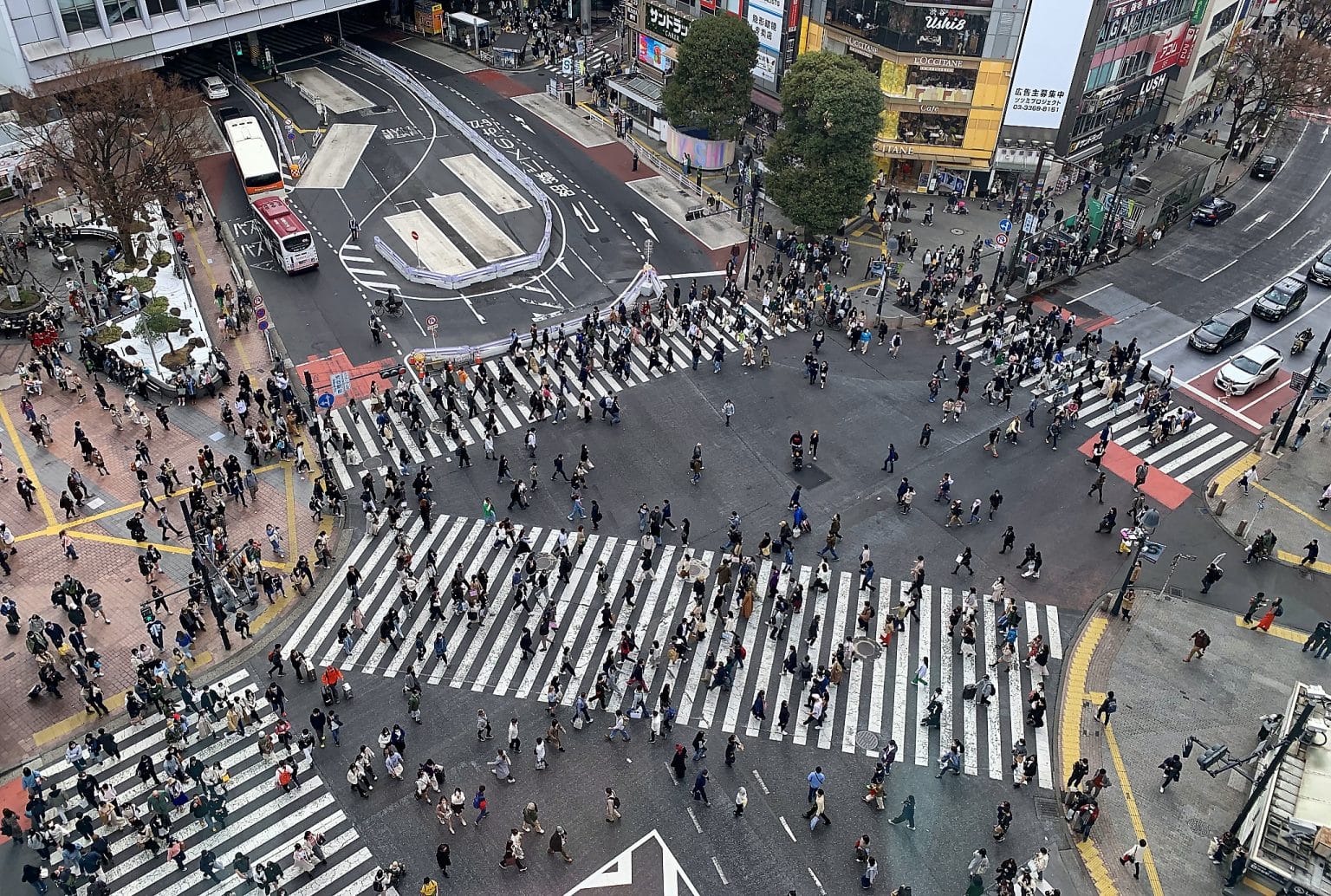 Visiter Tokyo en quatre à six jours : mon guide complet