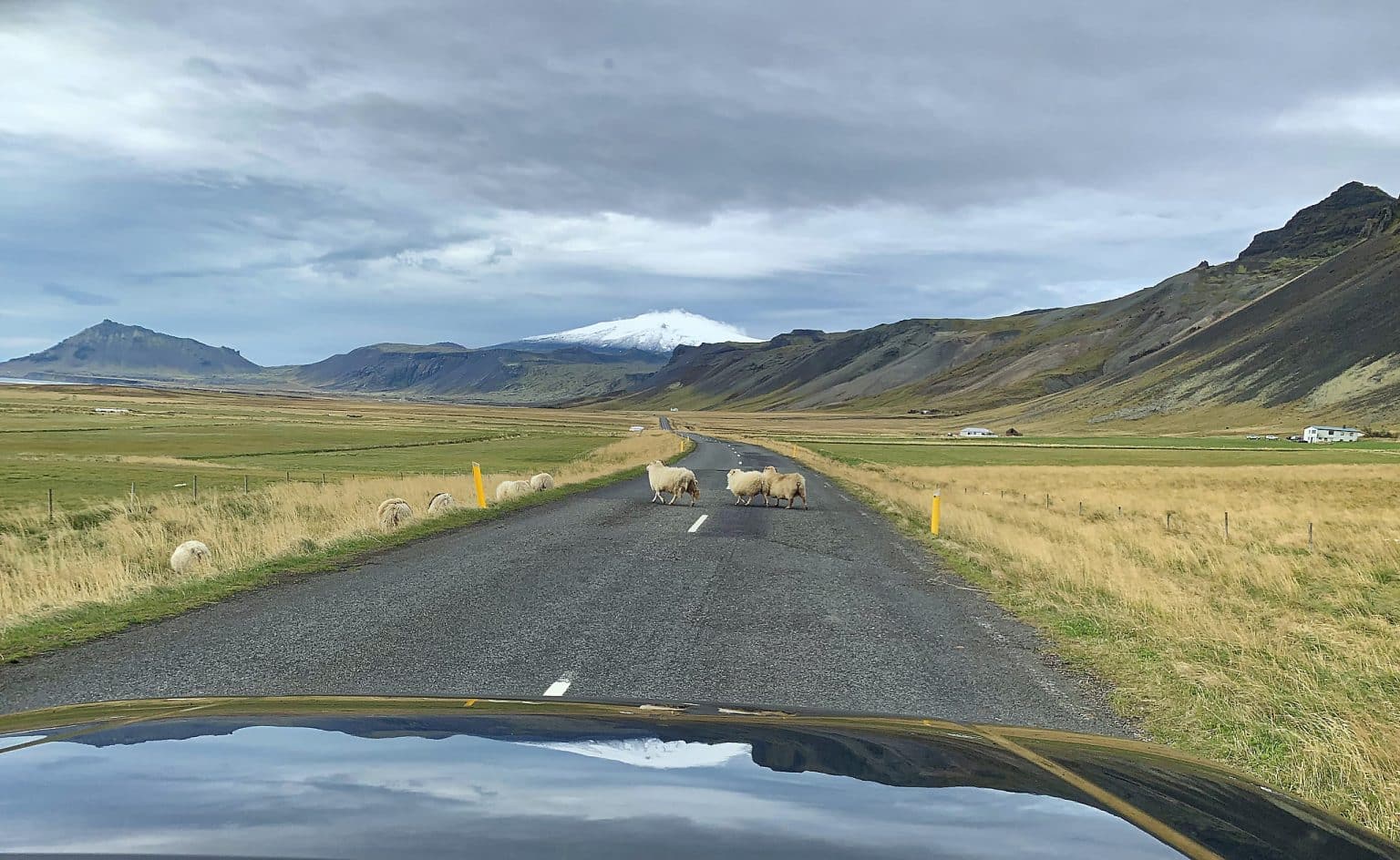 Road trip en Islande : tous mes conseils pour louer un 4x4