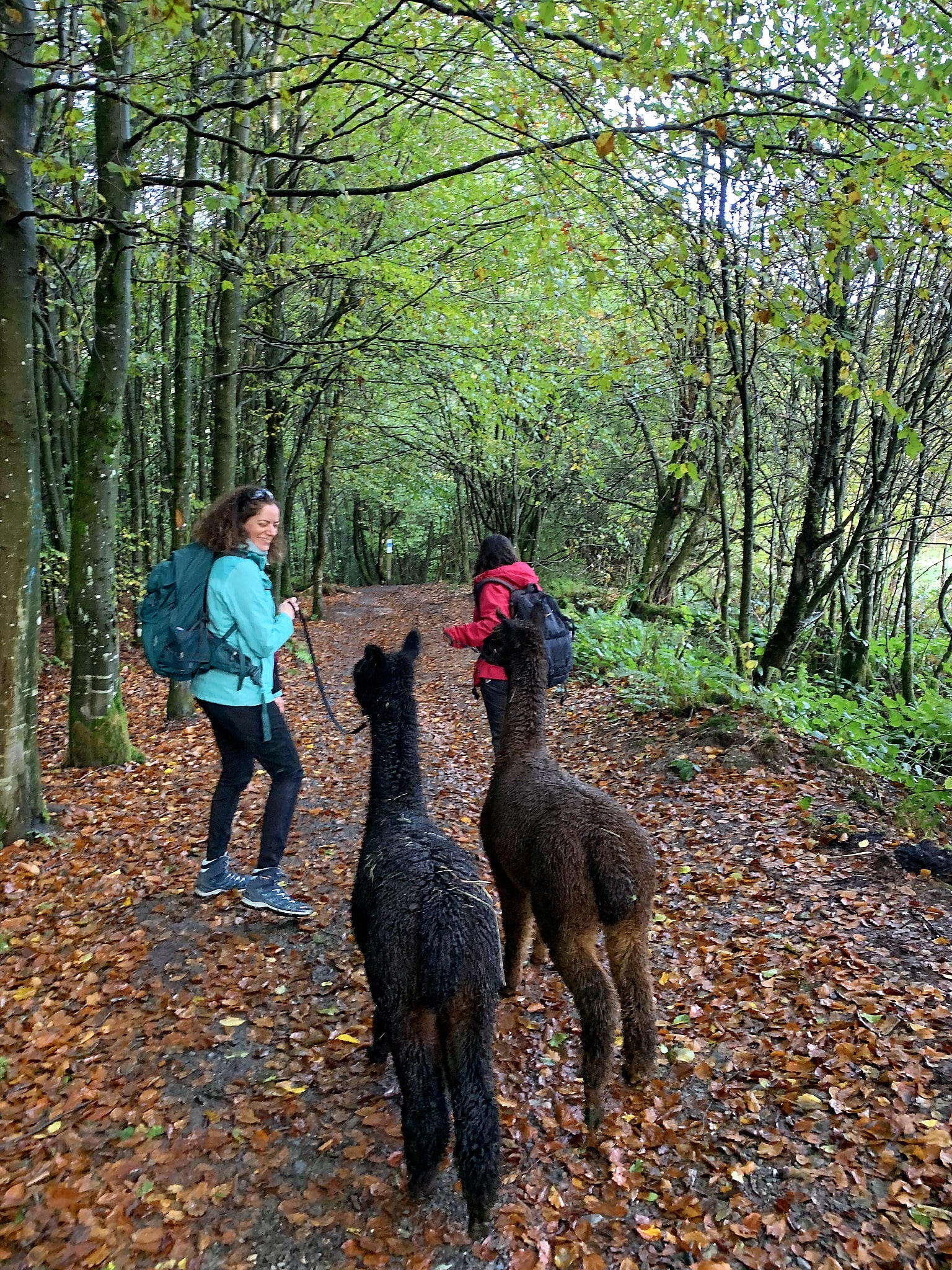 Séjour nature et bien-être dans les Hautes Fagnes en Wallonie