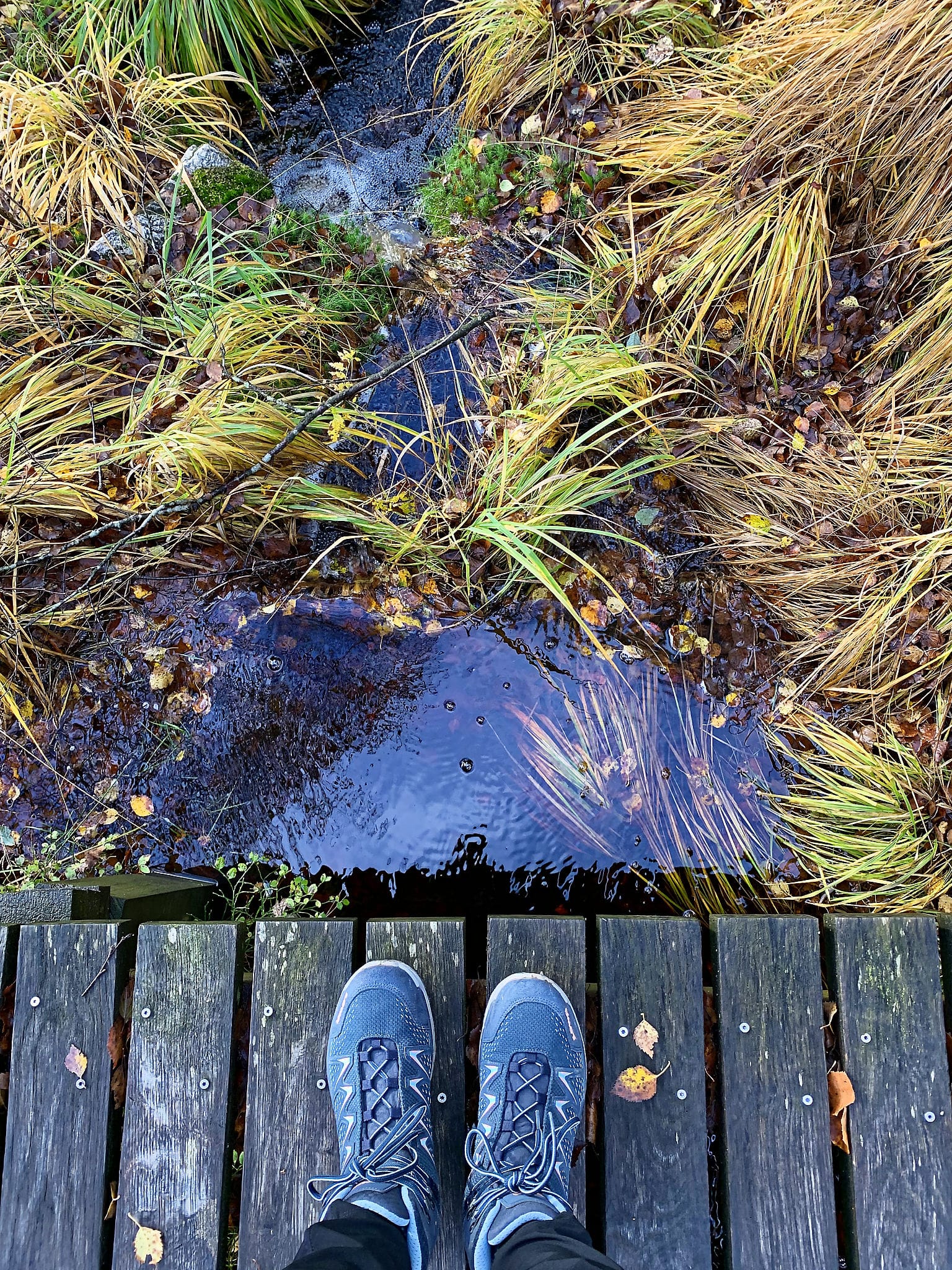 Séjour nature et bien-être dans les Hautes Fagnes en Wallonie