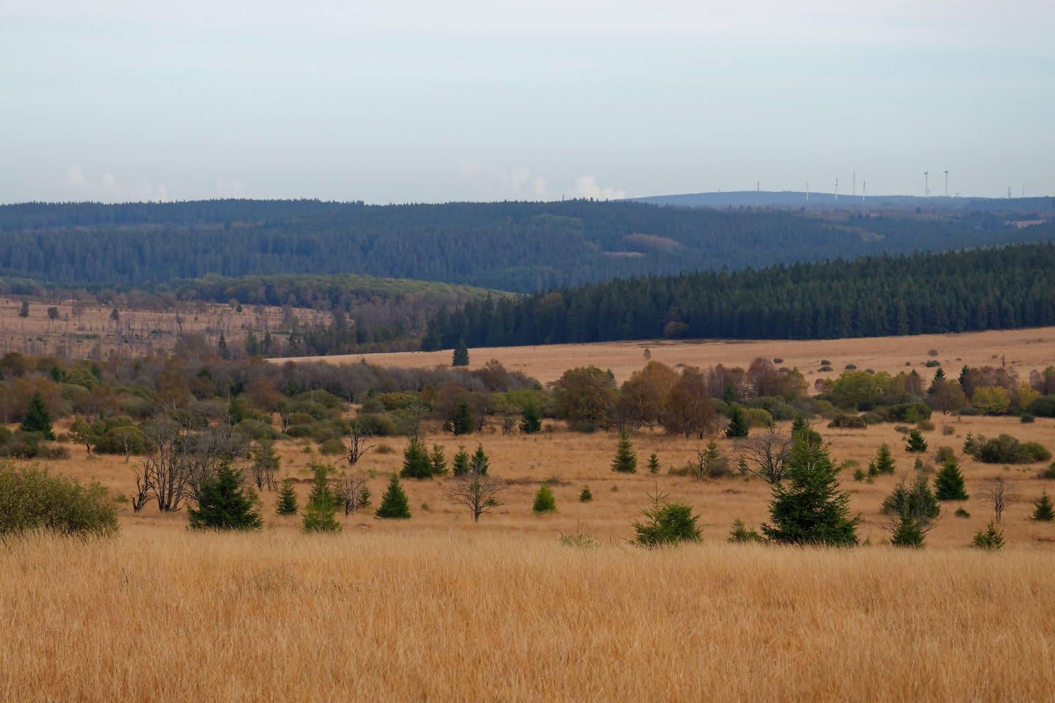 Séjour nature et bien-être dans les Hautes Fagnes en Wallonie