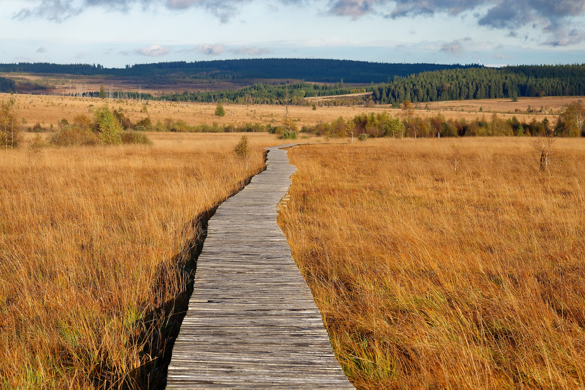 Séjour nature et bien-être dans les Hautes Fagnes en Wallonie