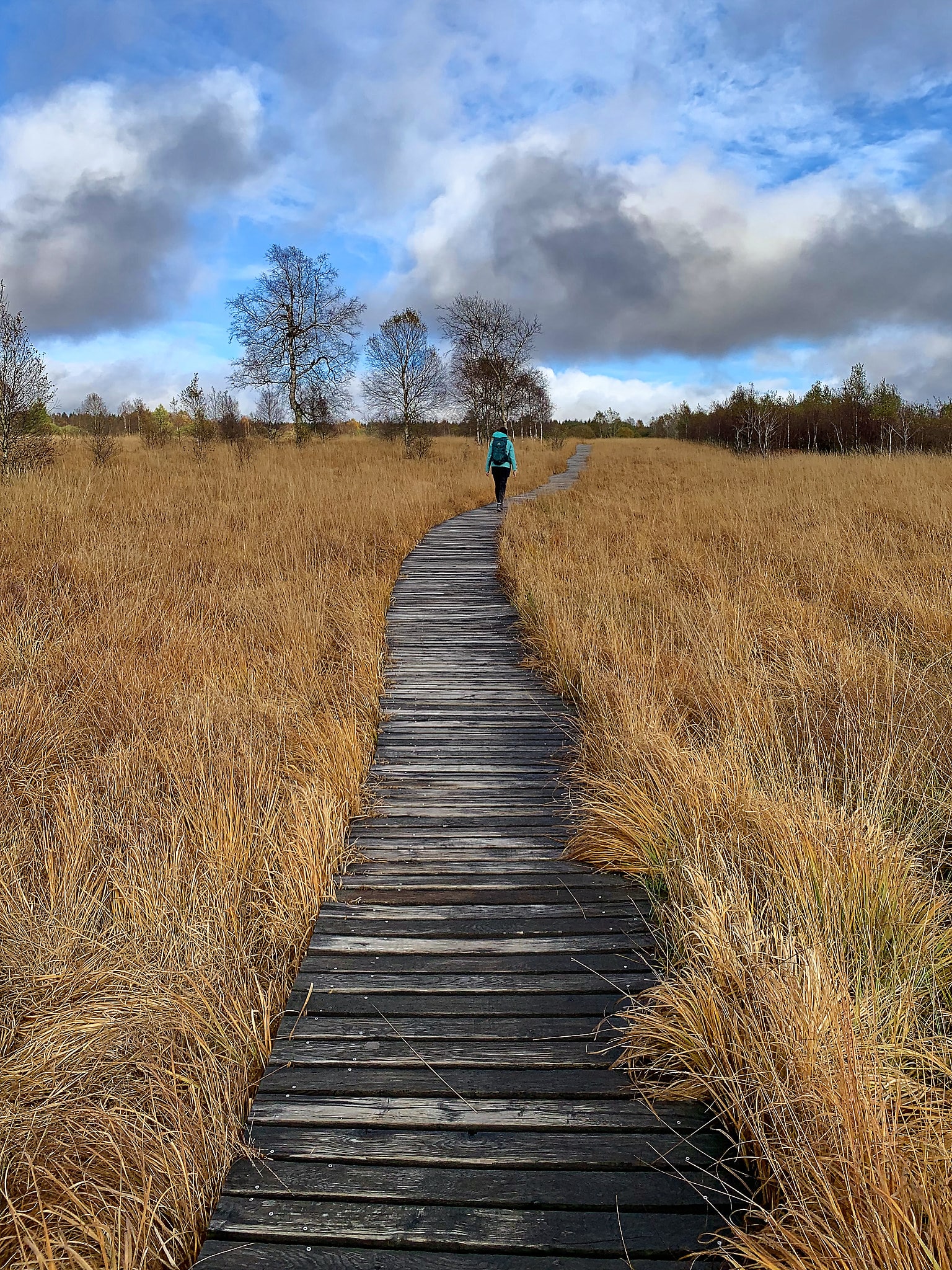 Séjour nature et bien-être dans les Hautes Fagnes en Wallonie